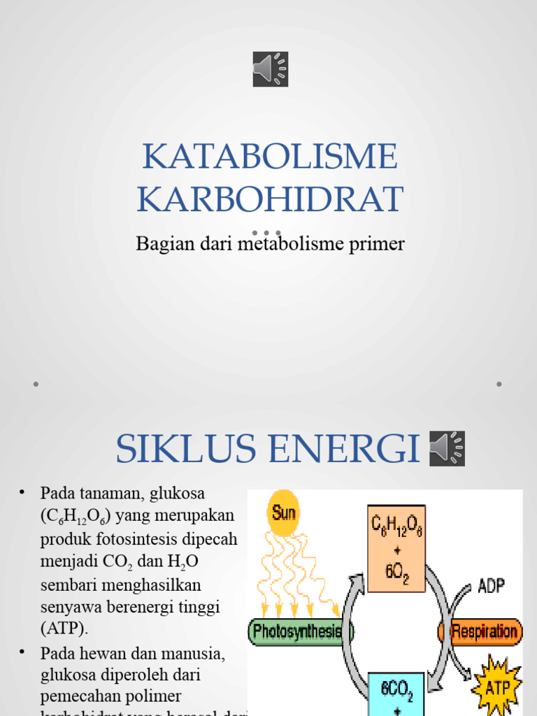 Katabolisme Karbohidrat: Proses dan Tahapan | PDF