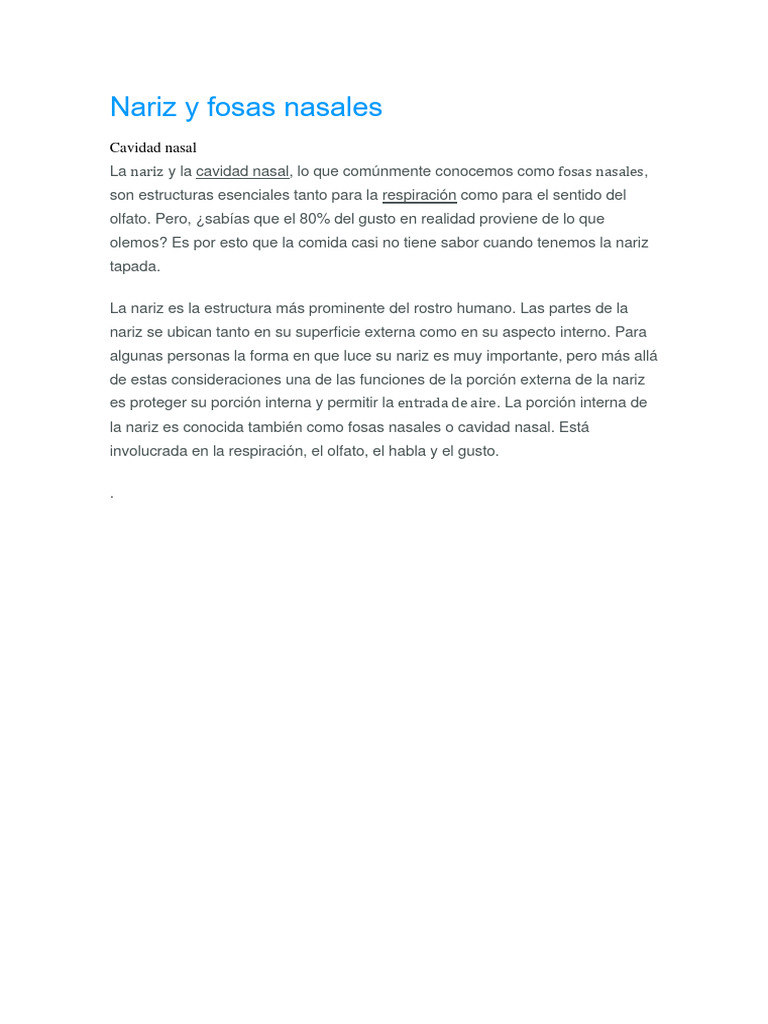 Anatomía de la Nariz y Fosas Nasales | PDF | Nariz humana | Rasgos faciales