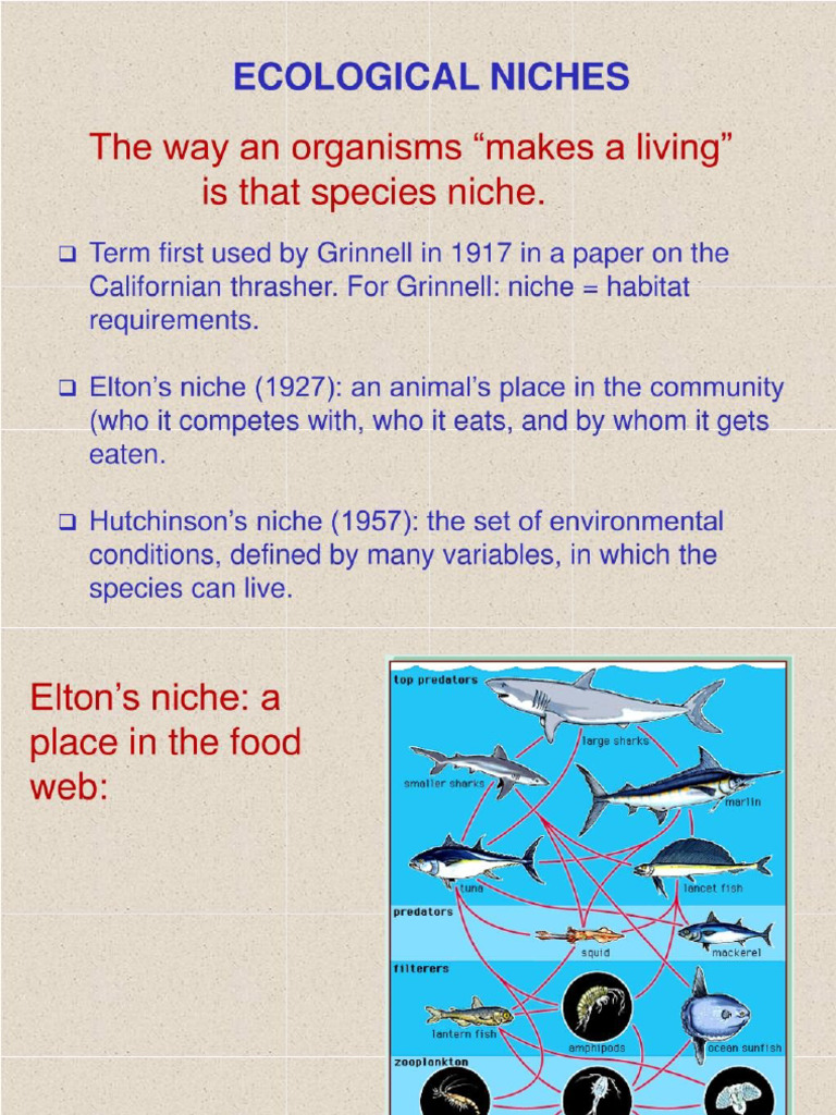 Ecological Niches | PDF