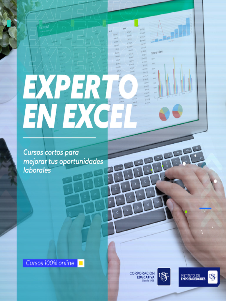 Experto Excel - Regular 1 | PDF | Microsoft Excel | Iniciativa empresarial