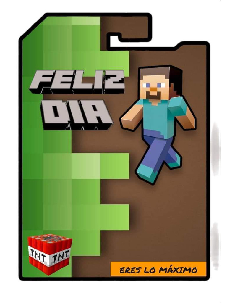 Niñez Minecraft Blister y Chips Bag | PDF
