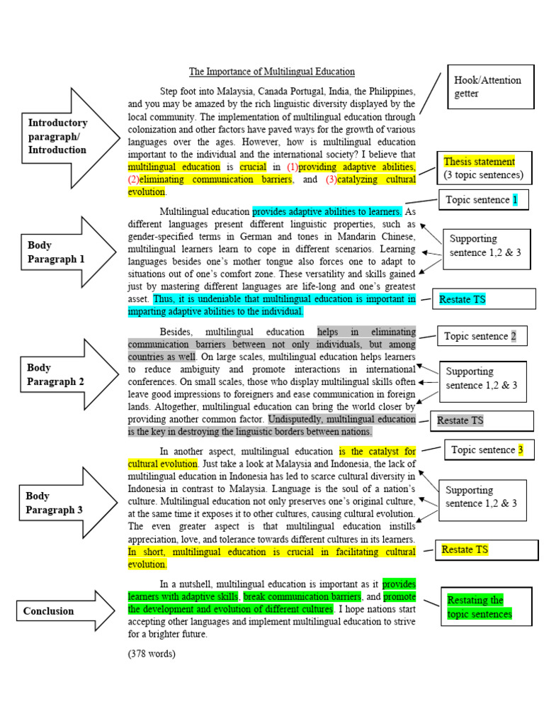 Factual essay example | PDF | Multilingualism | Learning