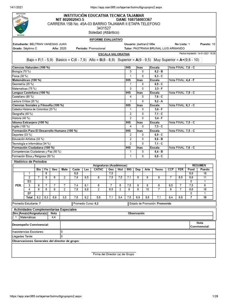 Informe Final Grado 7C Año 2020 | PDF | Science