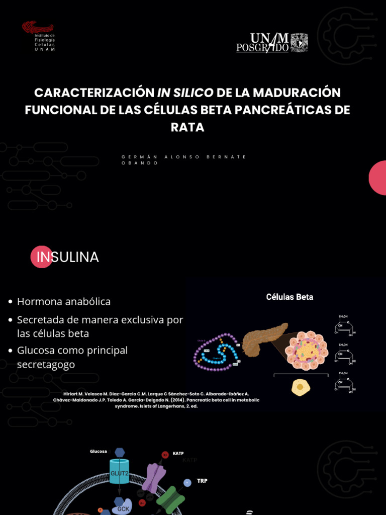 Black and Red Tech Programming Presentation | PDF | Ciencias de la Salud | Sistema endocrino