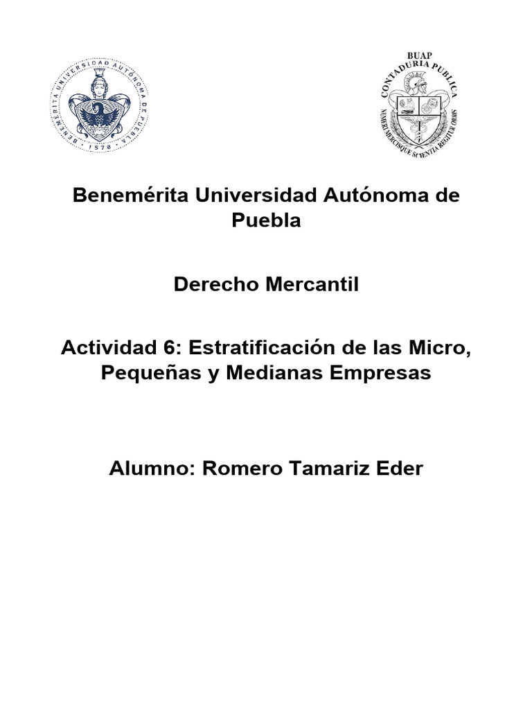 Actividad 6 Estratificación de Las Micro, Pequeñas y Medianas Empresas | PDF | Pequeñas y ...
