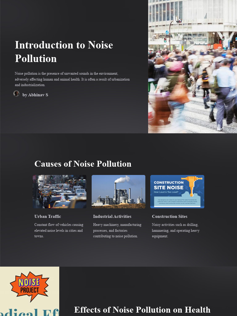 Introduction-to-Noise-Pollution | PDF | Pollution | Natural Environment