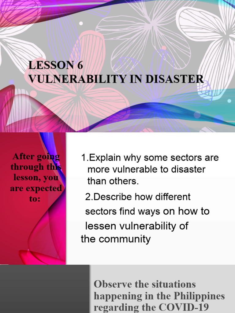 Lesson 6 Vulnerability in Different Sectors | PDF | Vulnerability