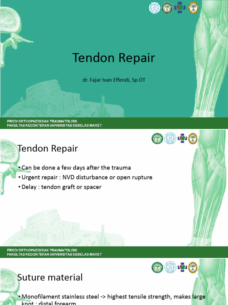 Tendon Repair Techniques and Care | PDF