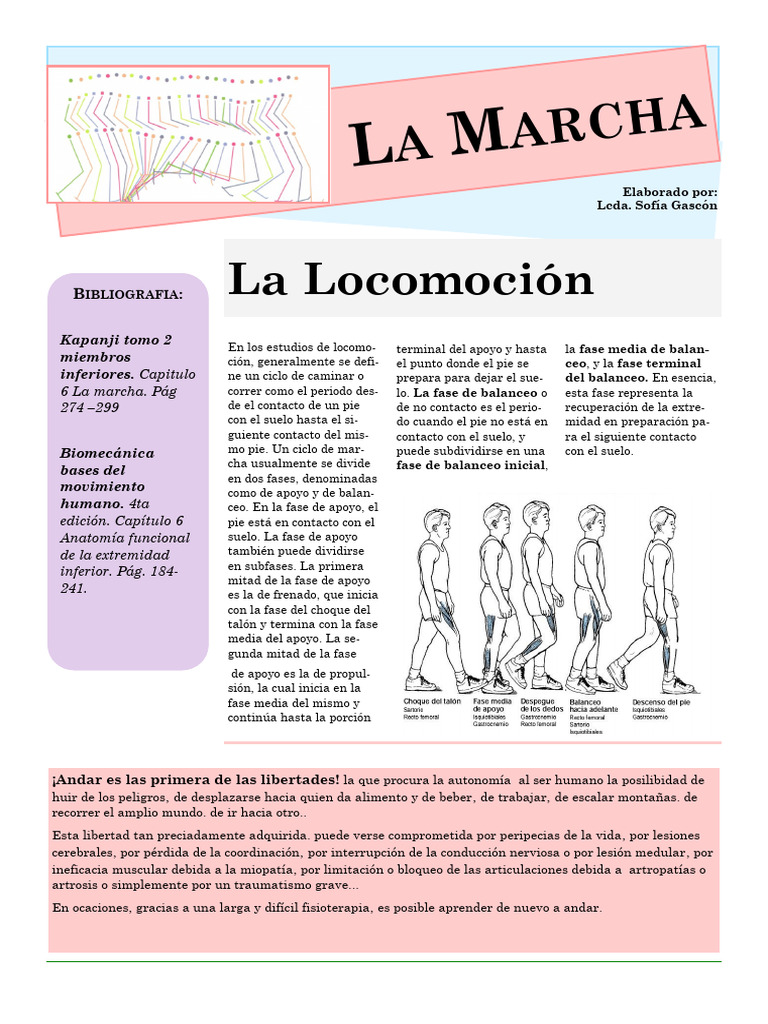 Guia de Marcha | PDF | Pie | Rodilla