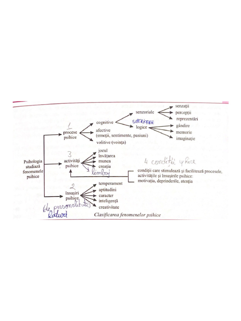 Procese Psihice | PDF