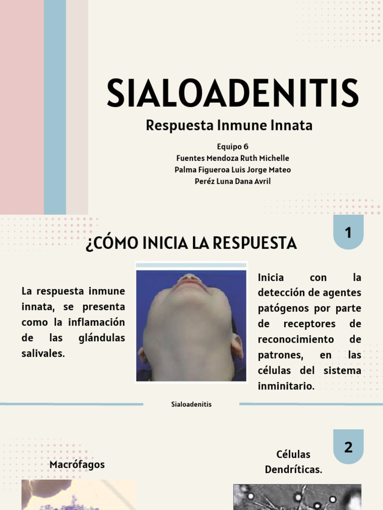 SIALOADENITIS | PDF | Sistema inmune | Sistema inmune innato