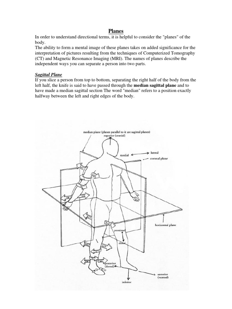 Planes | PDF | Teaching Methods & Materials