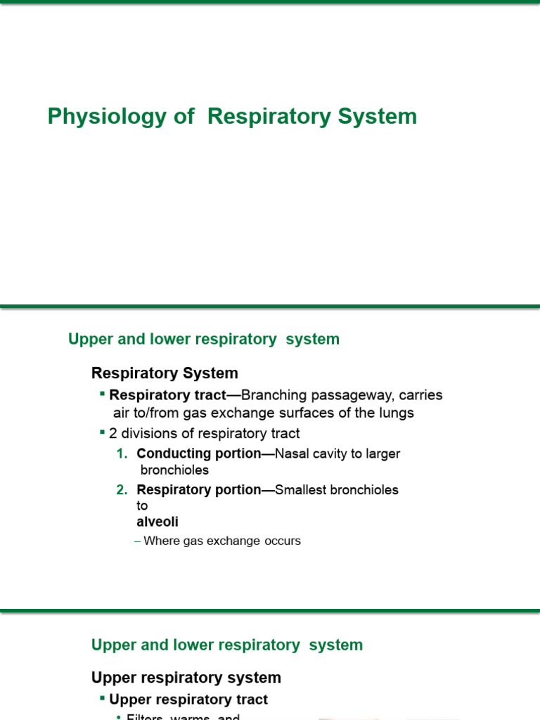 Physiology of The Respiratory System-1 | PDF | Lung | Respiratory Tract