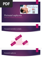Maternity Triage Clinical Guidelines | PDF | Childbirth | Obstetrics