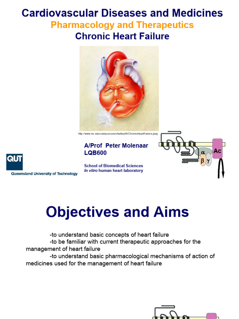 5 Cardiovascular Diseases and Medicines - Heart Failure | PDF | Atrium ...