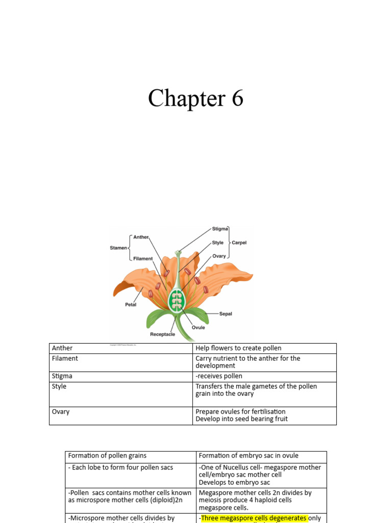 Chapter 6 Biology | PDF | Pollen | Botany