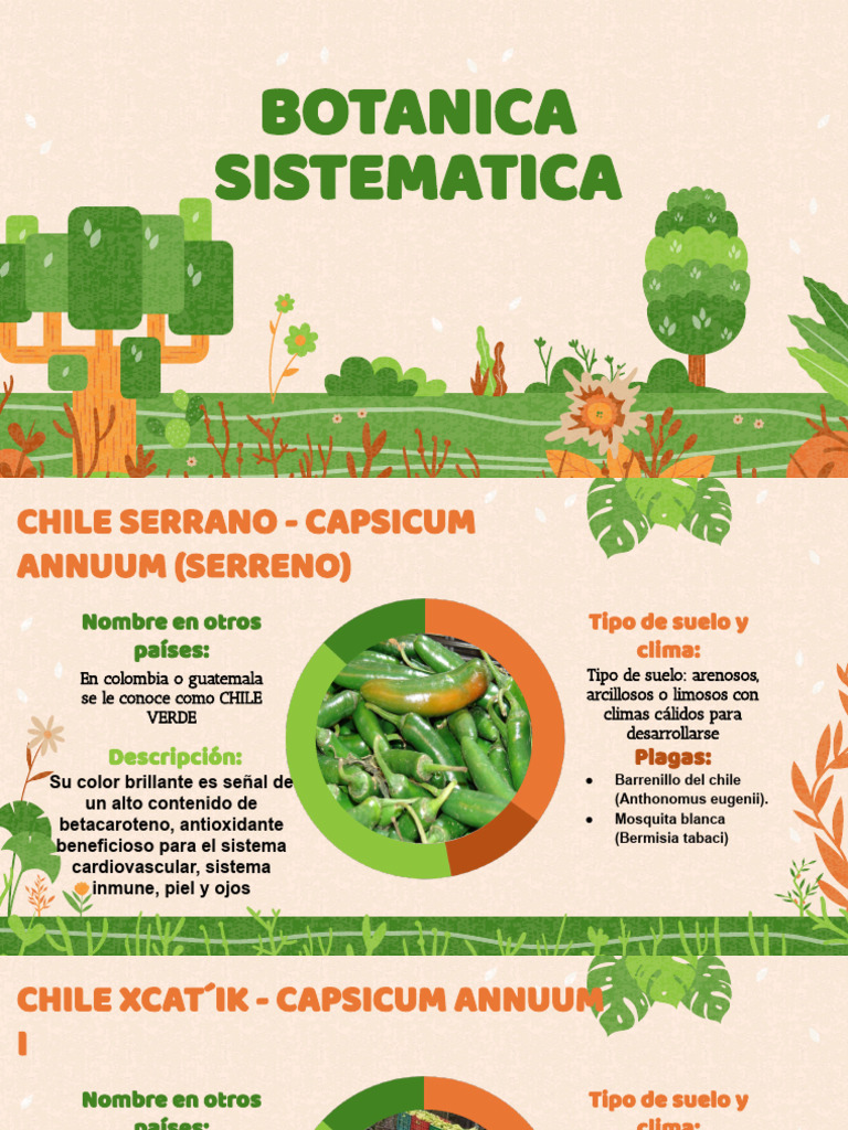 Botanica Sistematica | Descargar gratis PDF | Plantas | Botánica