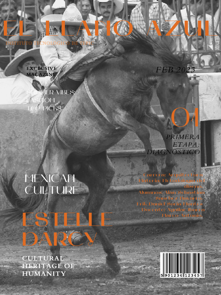 Diagnostico Lienzo Charro | PDF