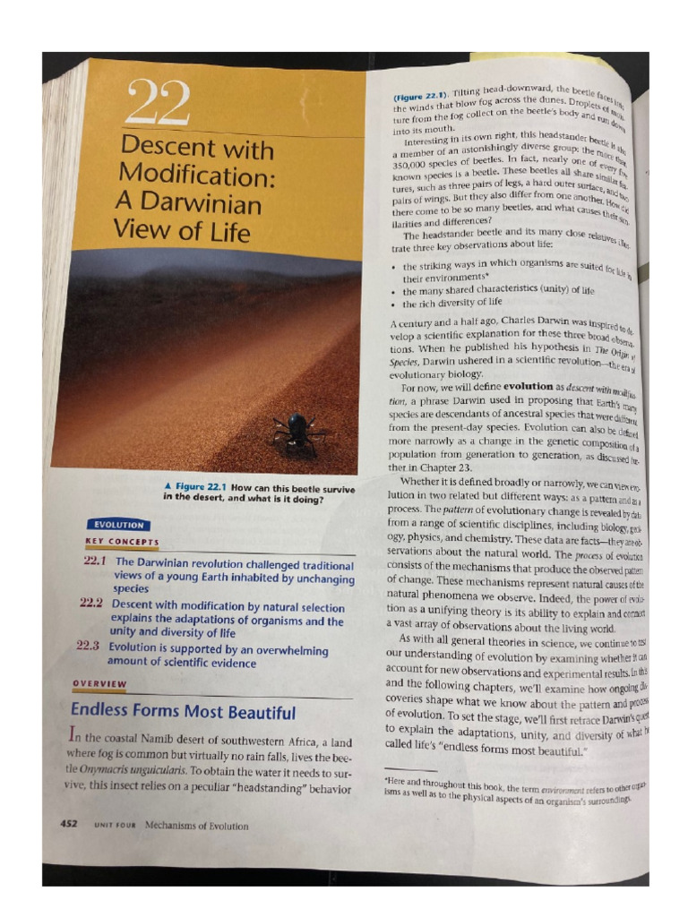 Ch22 Book Pics | PDF