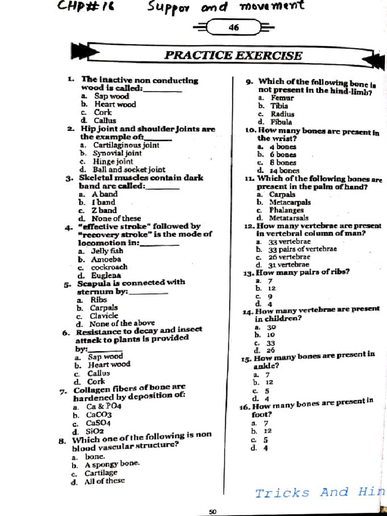 CHP 02 Xii Bio | PDF