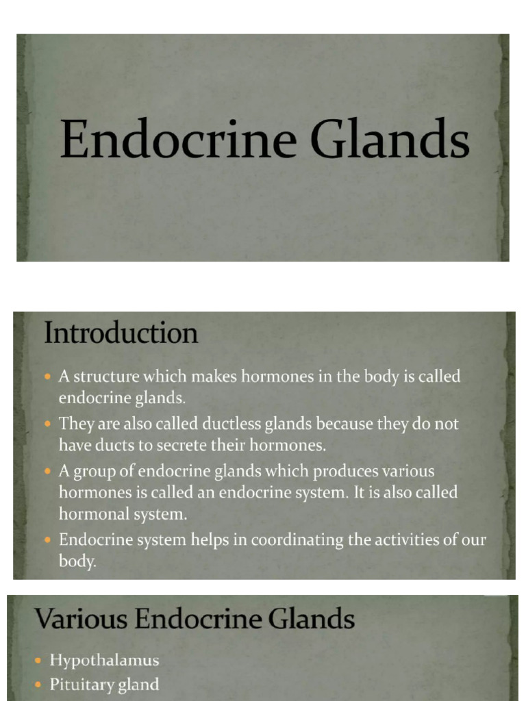 Endocrine Glands | PDF