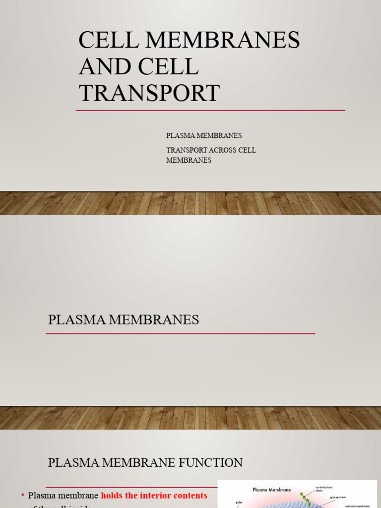 Cell Membranes and Transport | Download Free PDF | Cell Membrane | Osmosis