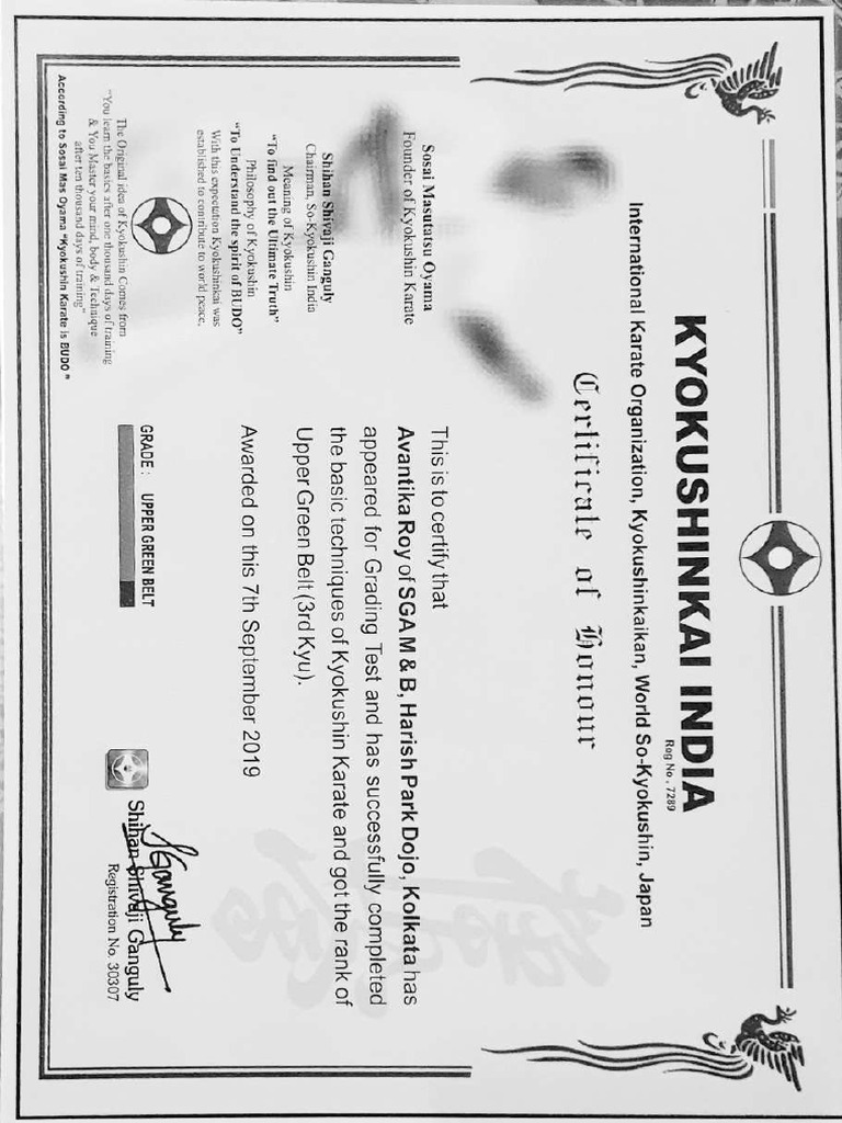 Karate U. Green Belt | PDF