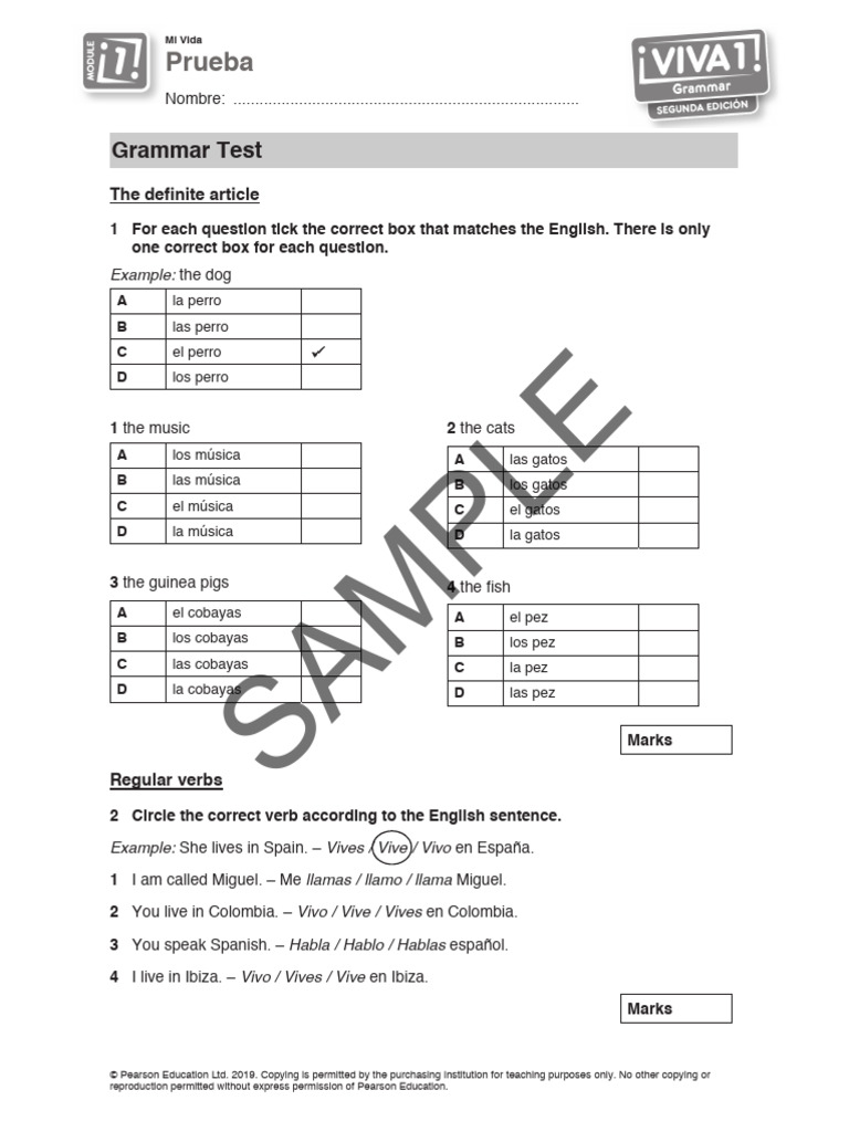 Viva1 2ndedition AP m1 Grammar | PDF | Semantic Units | Languages