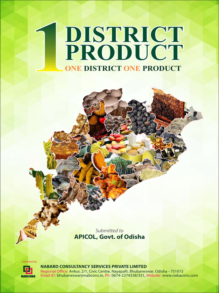 One District One Product study report | PDF | Agriculture | Infrastructure