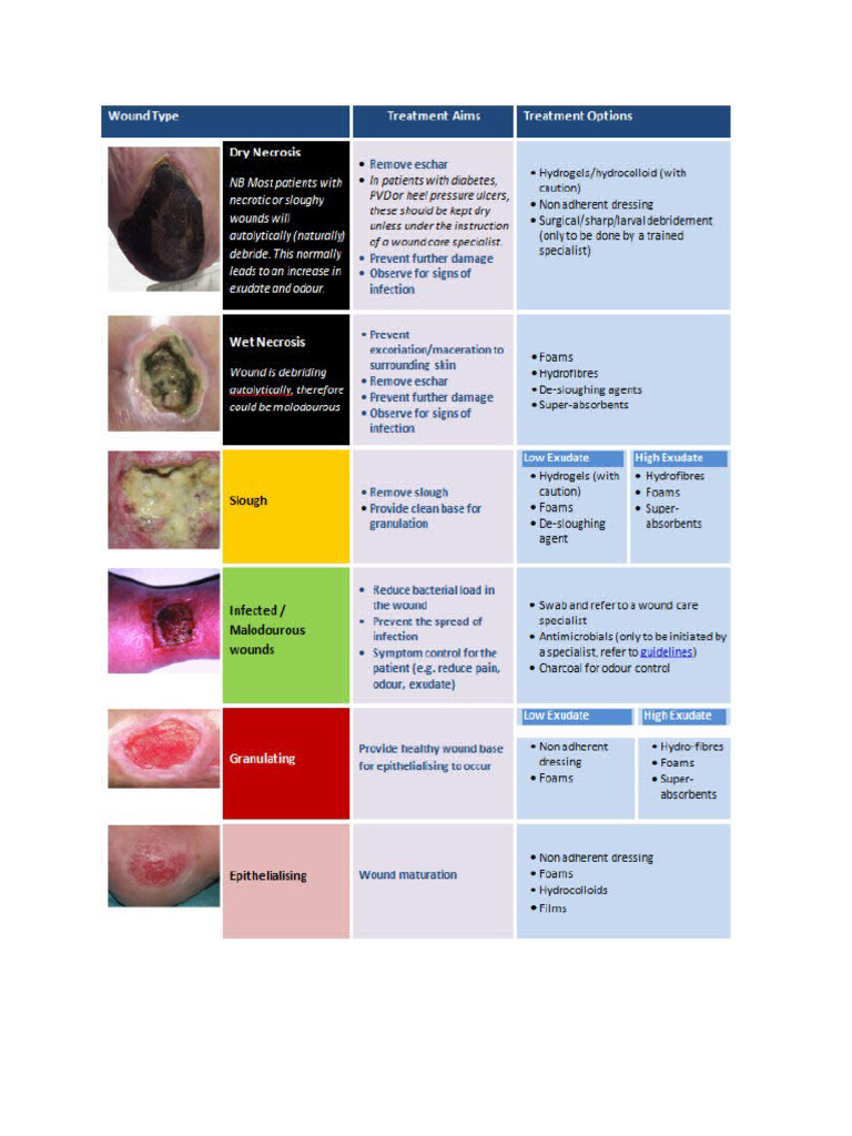 Wounds Treatment | PDF