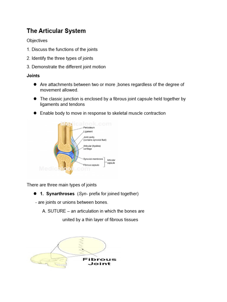 JOINT | PDF | Anatomical Terms Of Motion | Joint