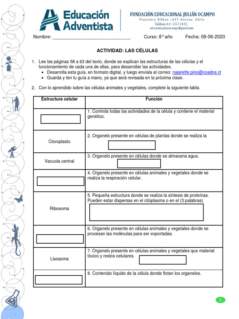 Estructuras y funciones celulares | PDF | Biología Celular) | Plantas