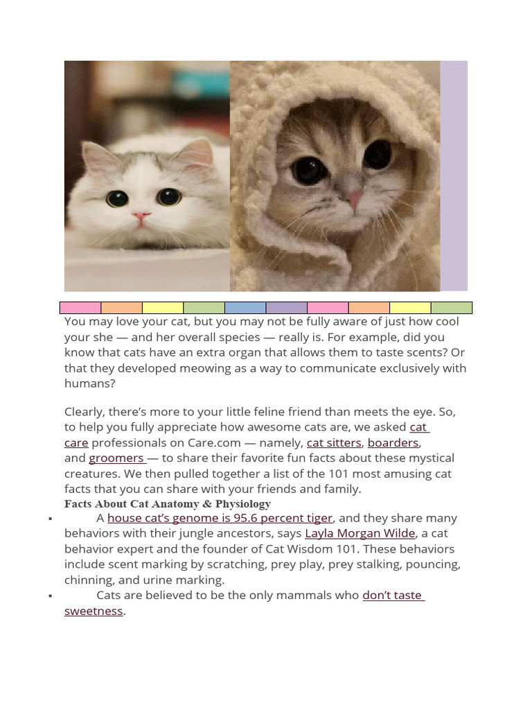 T1 Cats | PDF | Cats | Zoology