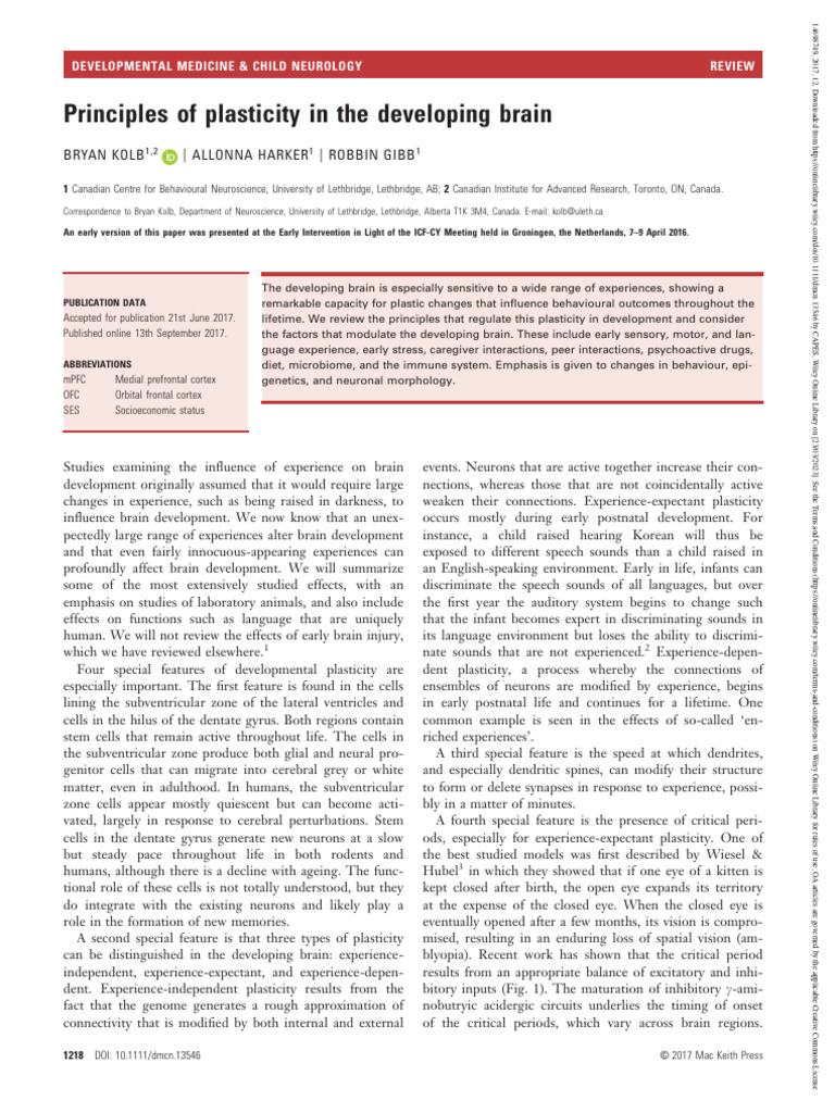 Develop Med Child Neuro - 2017 - Kolb - Principles of Plasticity in The ...