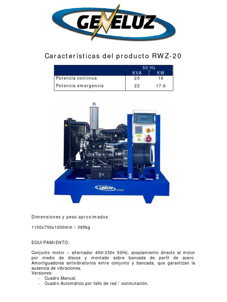 Raywin RWZ-20 Es | PDF | Motores | Combustible diesel
