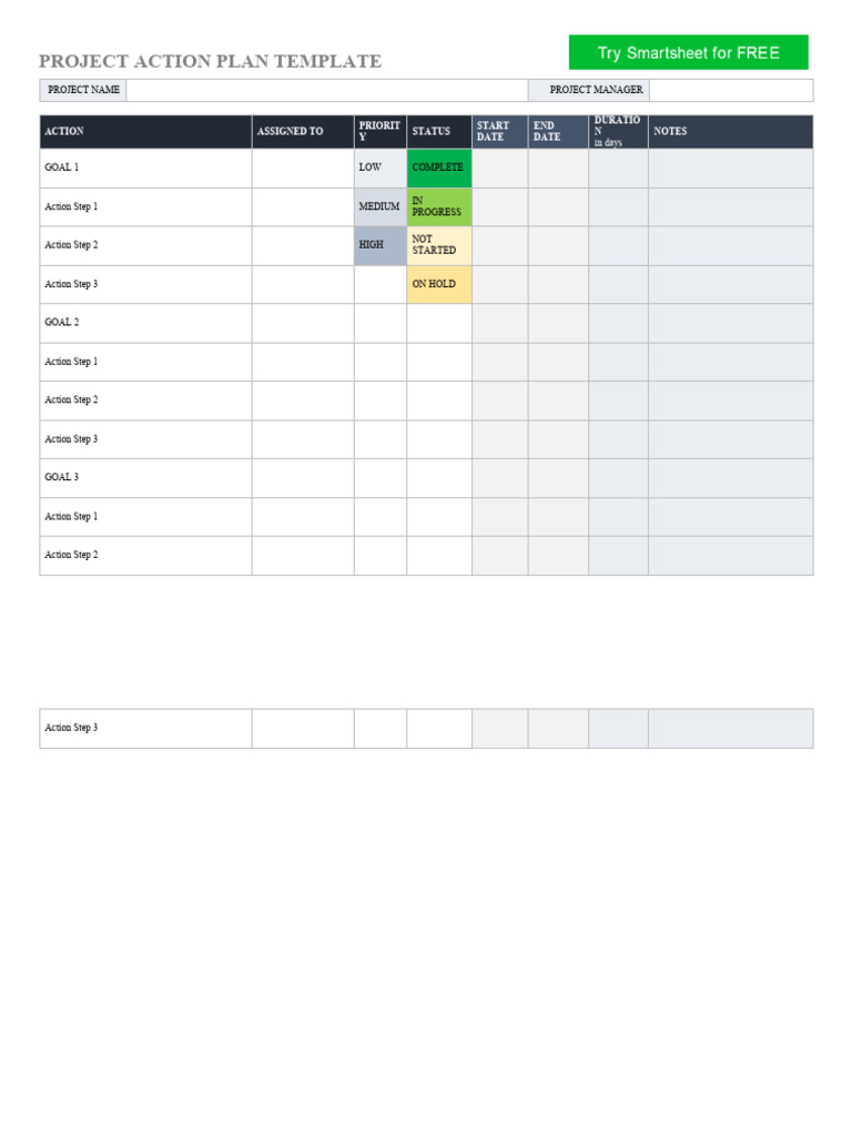 IC Project Action Plan Template 8538 - WORD | PDF