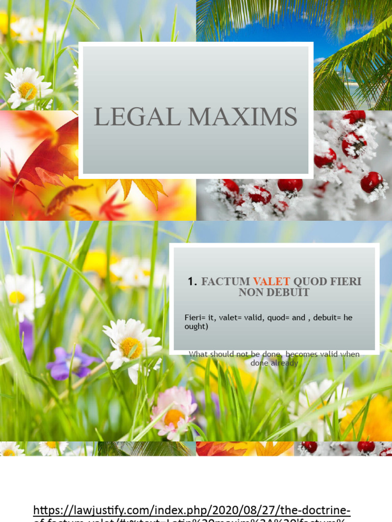 Legal Maxims | Download Free PDF | Civil Law (Legal System) | Justice
