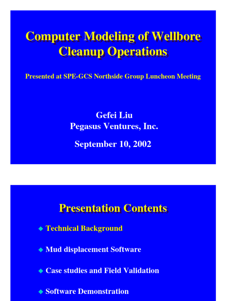 Wellbore Cleanup Operations Modeling | PDF | Fluid Dynamics | Pump
