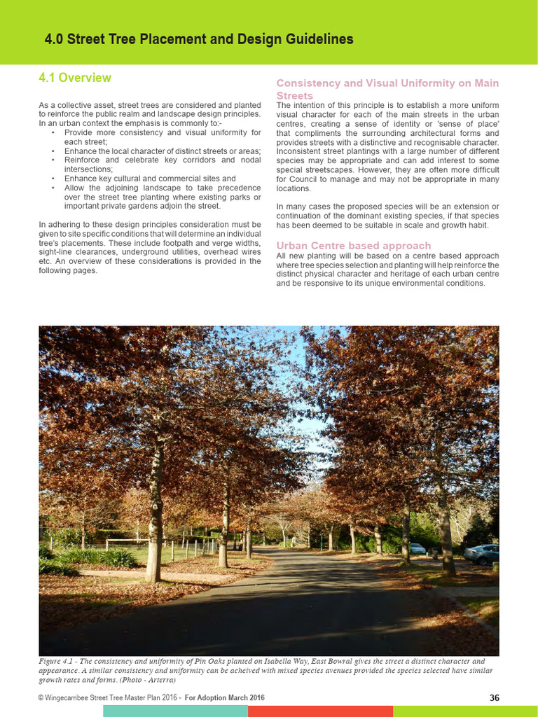Urban Street Tree Design Guidelines | PDF | Street | Road