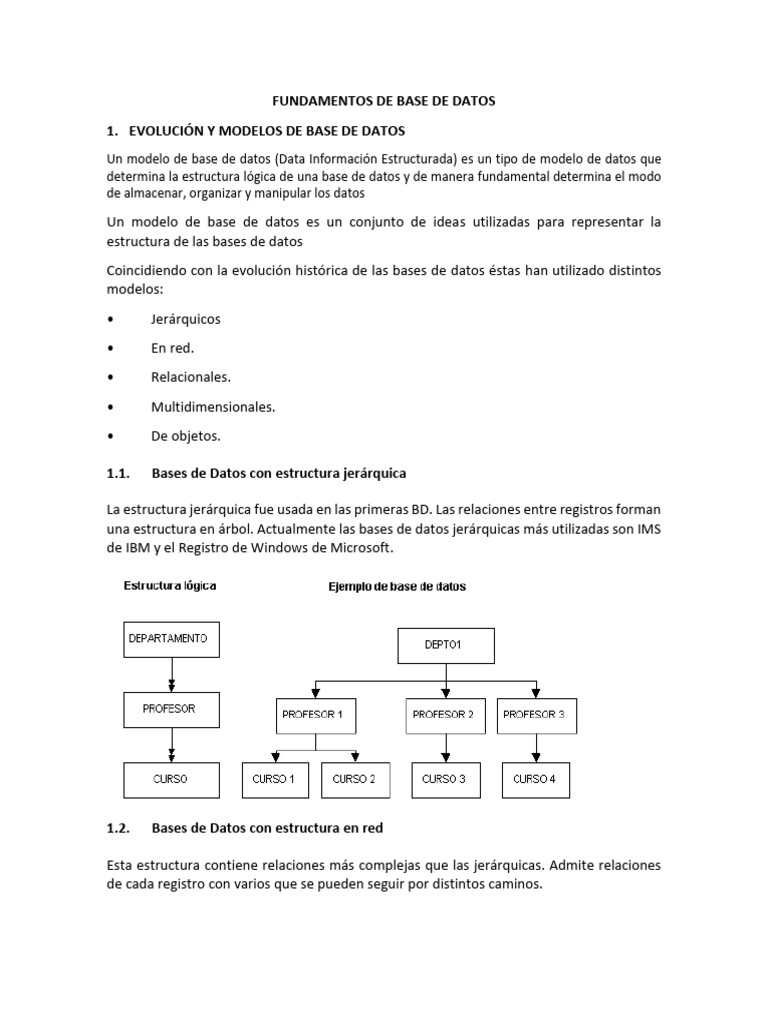 Leccion 2 Fundamentos de Base de Datos | PDF | Bases de datos | Programación de computadoras