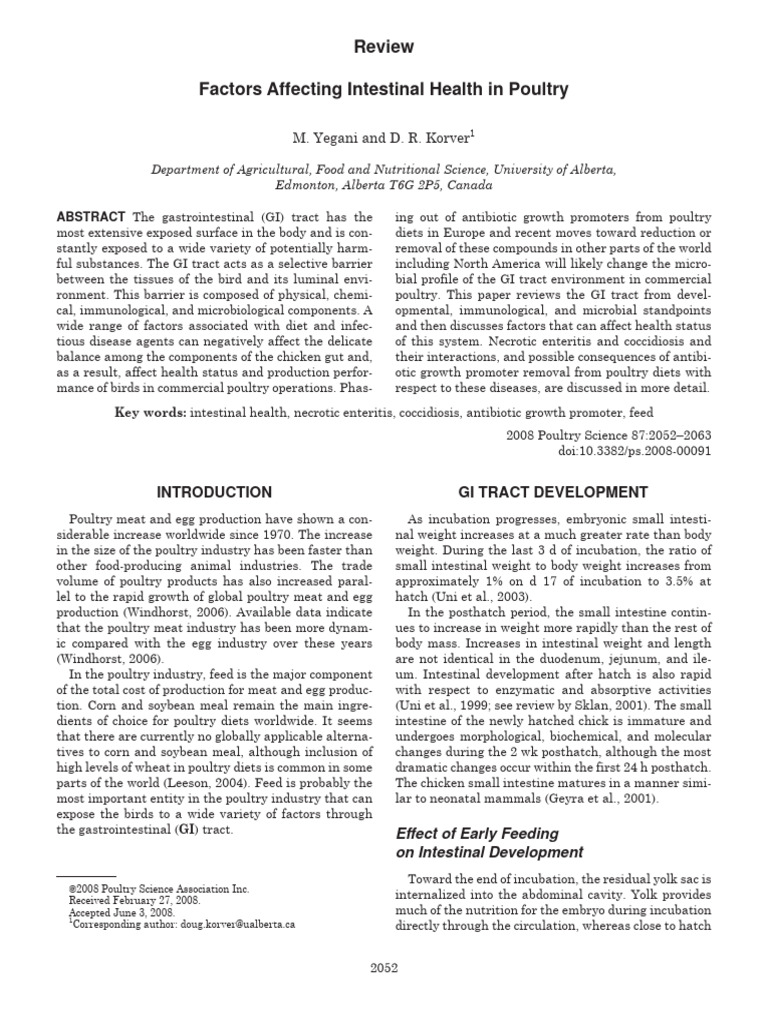 Factors Affecting Intestinal Health in Poultry | PDF | Gastrointestinal ...
