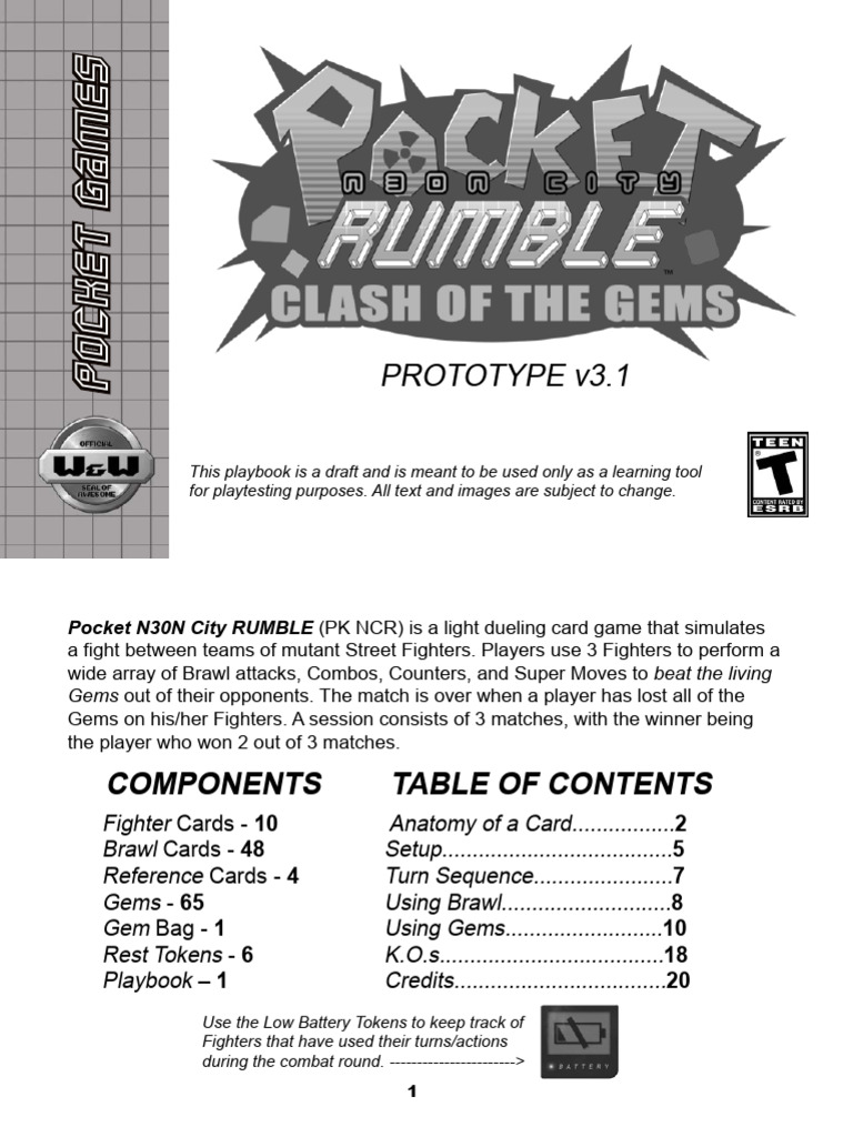 PK NCR Playbook Draft 11 | PDF