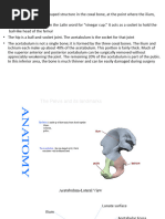 Wagner Cone Prosthesis Hip Stem Surgical Technique PDF | PDF | Hip ...