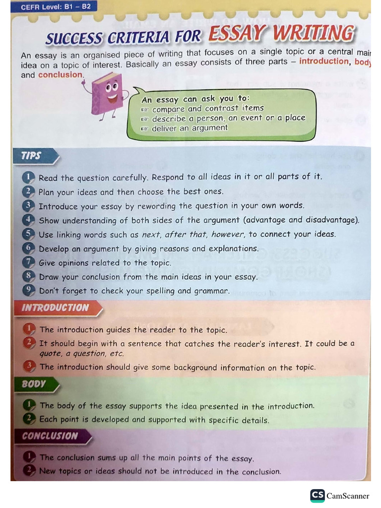 Success Criteria For Essay Writing | PDF