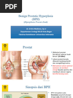 Guideline BPH 2017 PDF | PDF