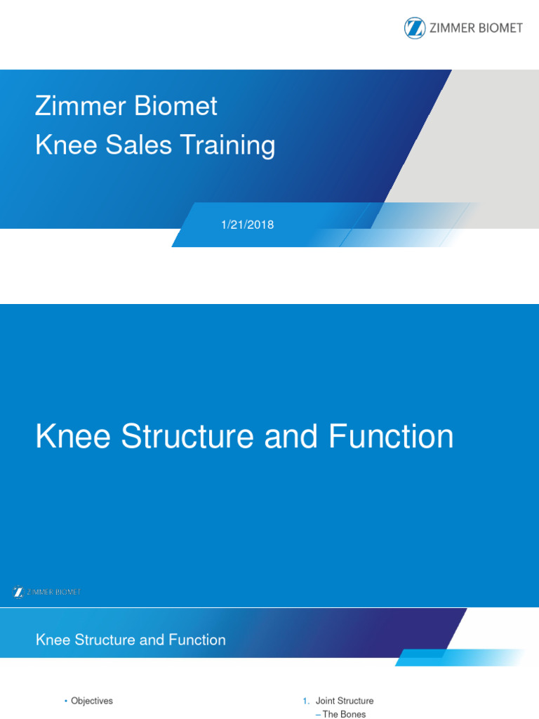 1 Knee Structure and Function | PDF | Knee | Joints