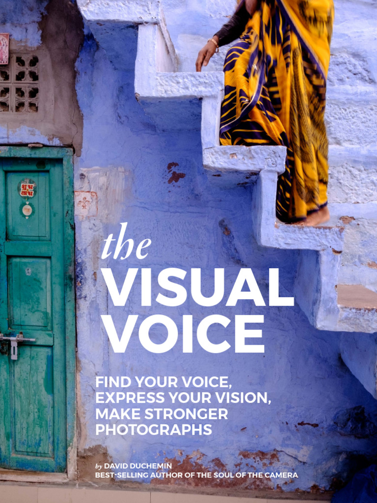 The Visual Voice - David DuChemin | PDF | Camera | Imaging
