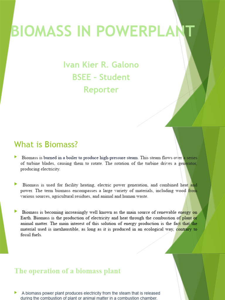 Ivan Kier Report Biomass in Powerplant | PDF | Power Station | Fossil ...