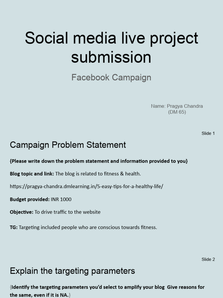 Digital Marketing Social Media Marketing Project | PDF | Mass Media ...