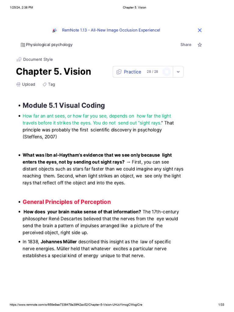 Chapter 5. Vision | PDF | Visual Cortex | Visual System